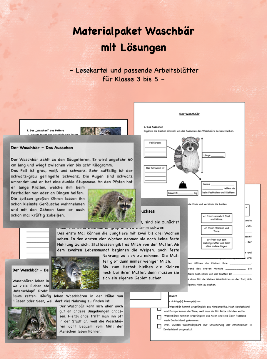Waschbär Lesekartei, Arbeitsblätter und Puzzle #edukisummer ...