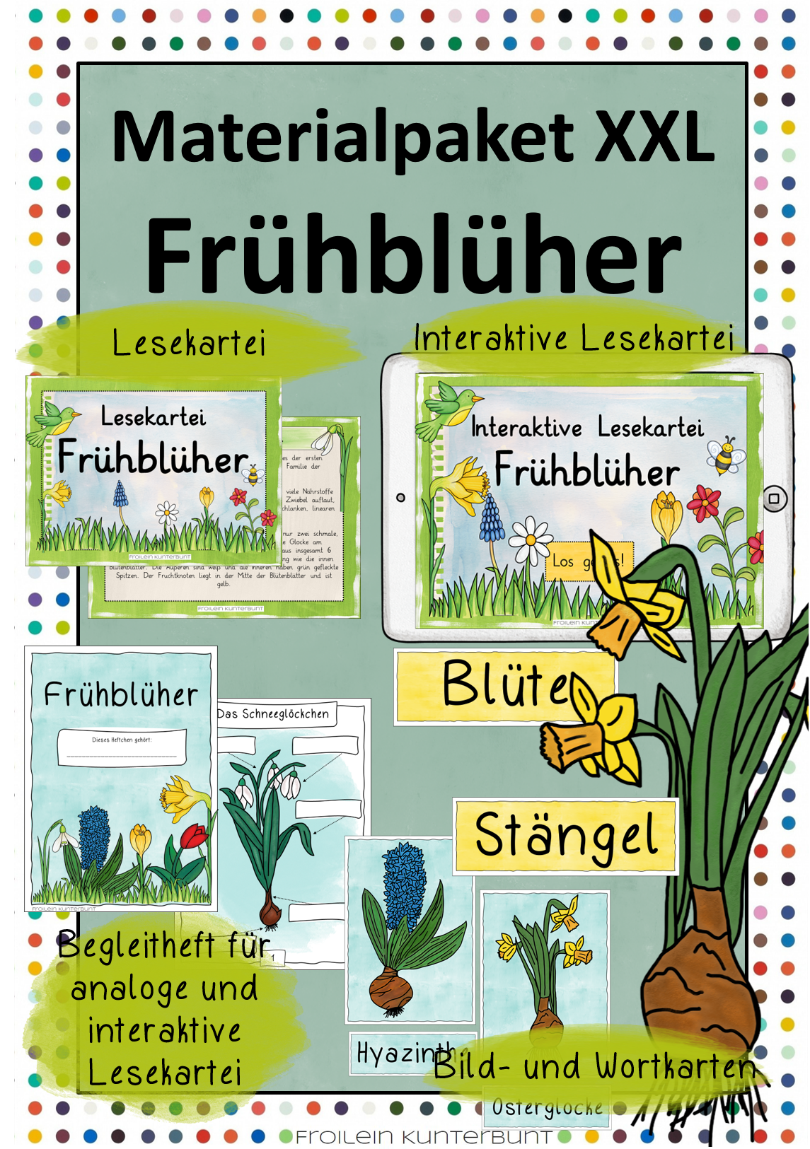 Materialpaket XXL Frühblüher #edukilights22 – Unterrichtsmaterial in ...