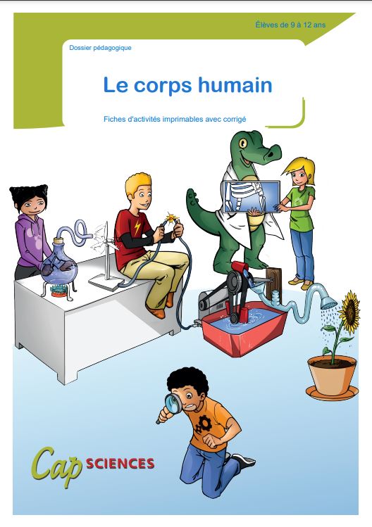 Le corps humain: 38 pages d'activité - Ressource pédagogique pour les ...