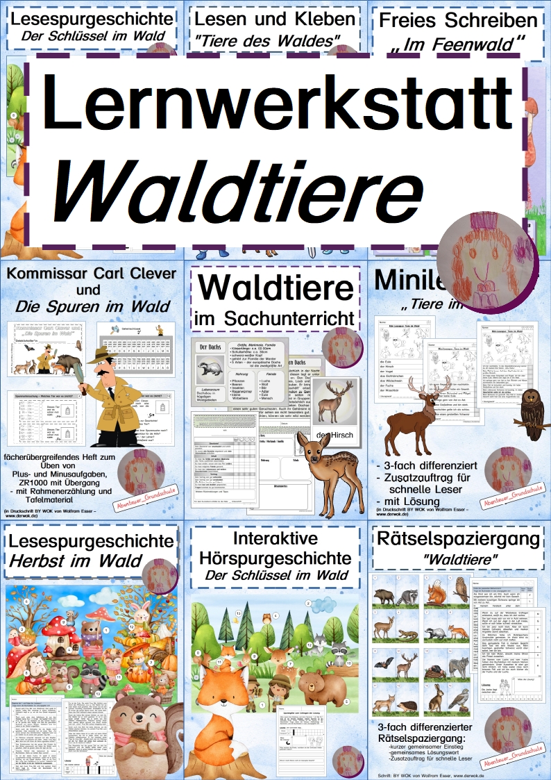 Waldtiere - fächerübergreifende Lernwerkstatt – Unterrichtsmaterial in ...