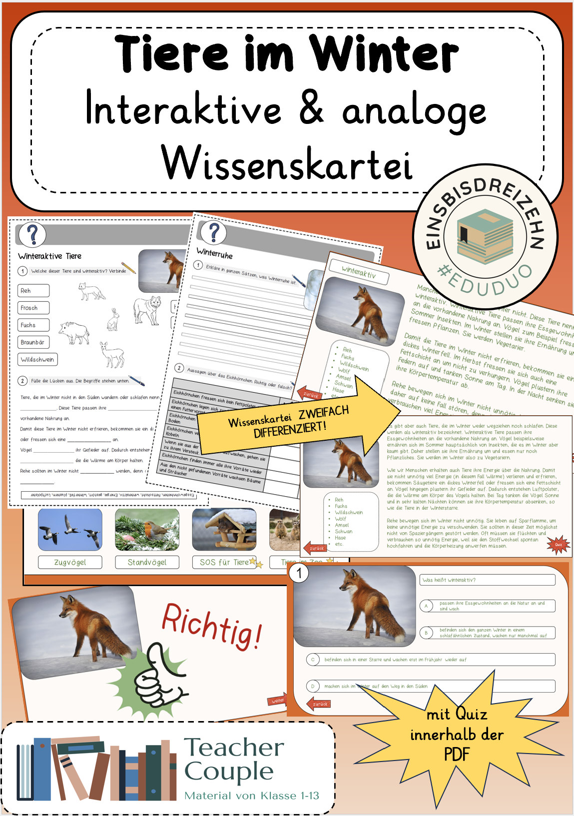 Tiere im Winter - analoge & interaktive Wissenskartei ...