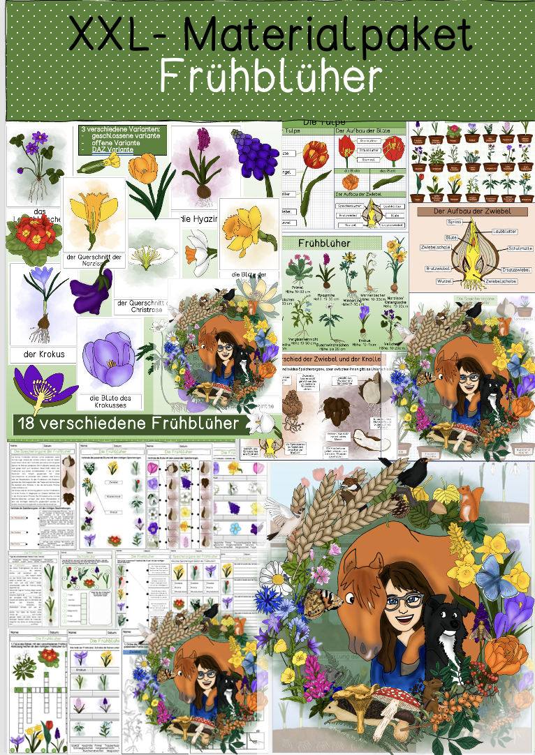 Frühblüher-XXL Materialpaket – Unterrichtsmaterial in den Fächern ...