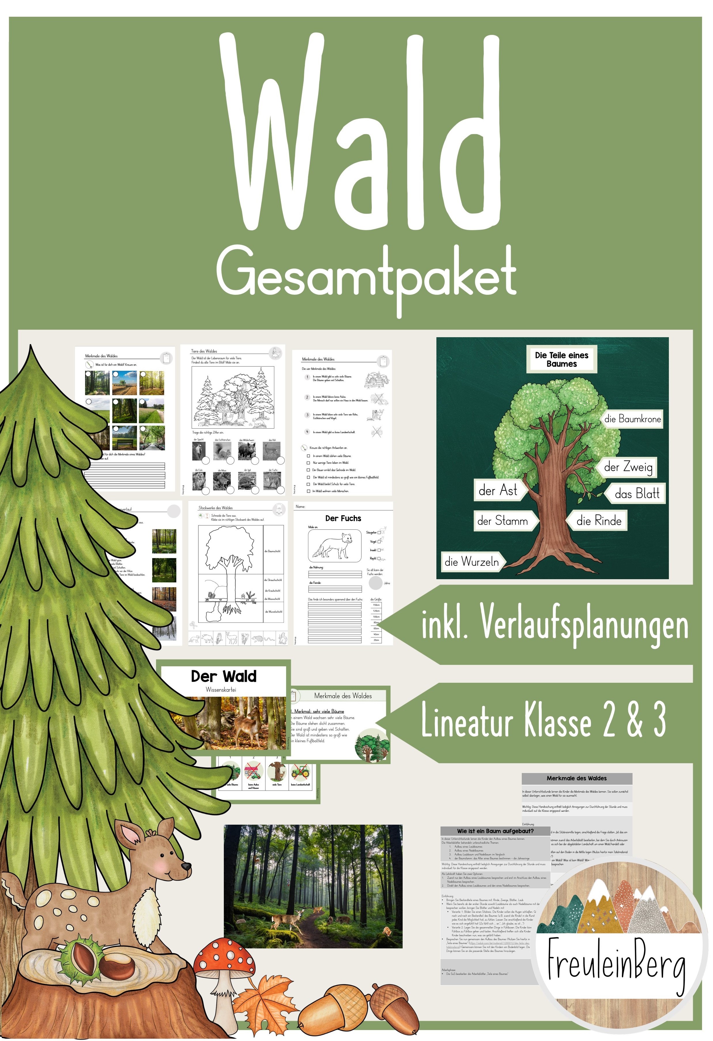 Projektarbeit Zum Thema Wald