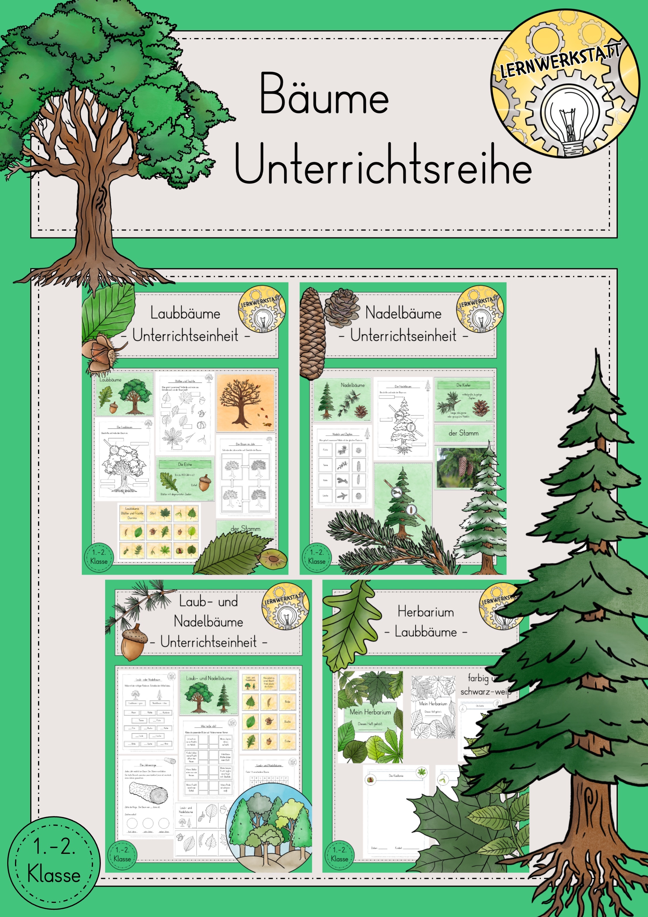 Bäume Laubbäume Nadelbäume Wald Unterrichtsreihe Materialpaket ...