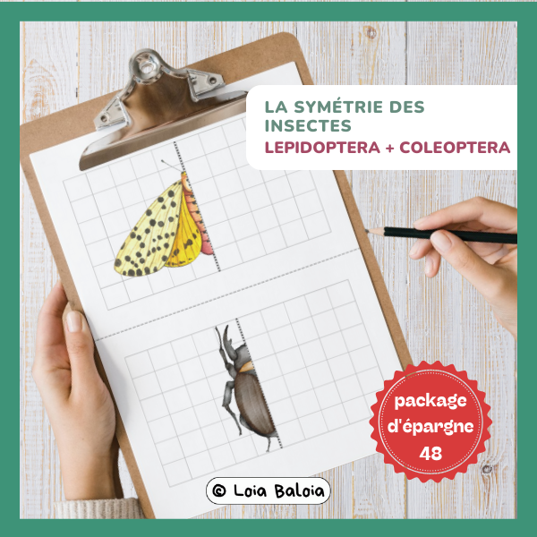 La symétrie des insectes – Papillons & Coléoptères (Pack). - Ressource ...