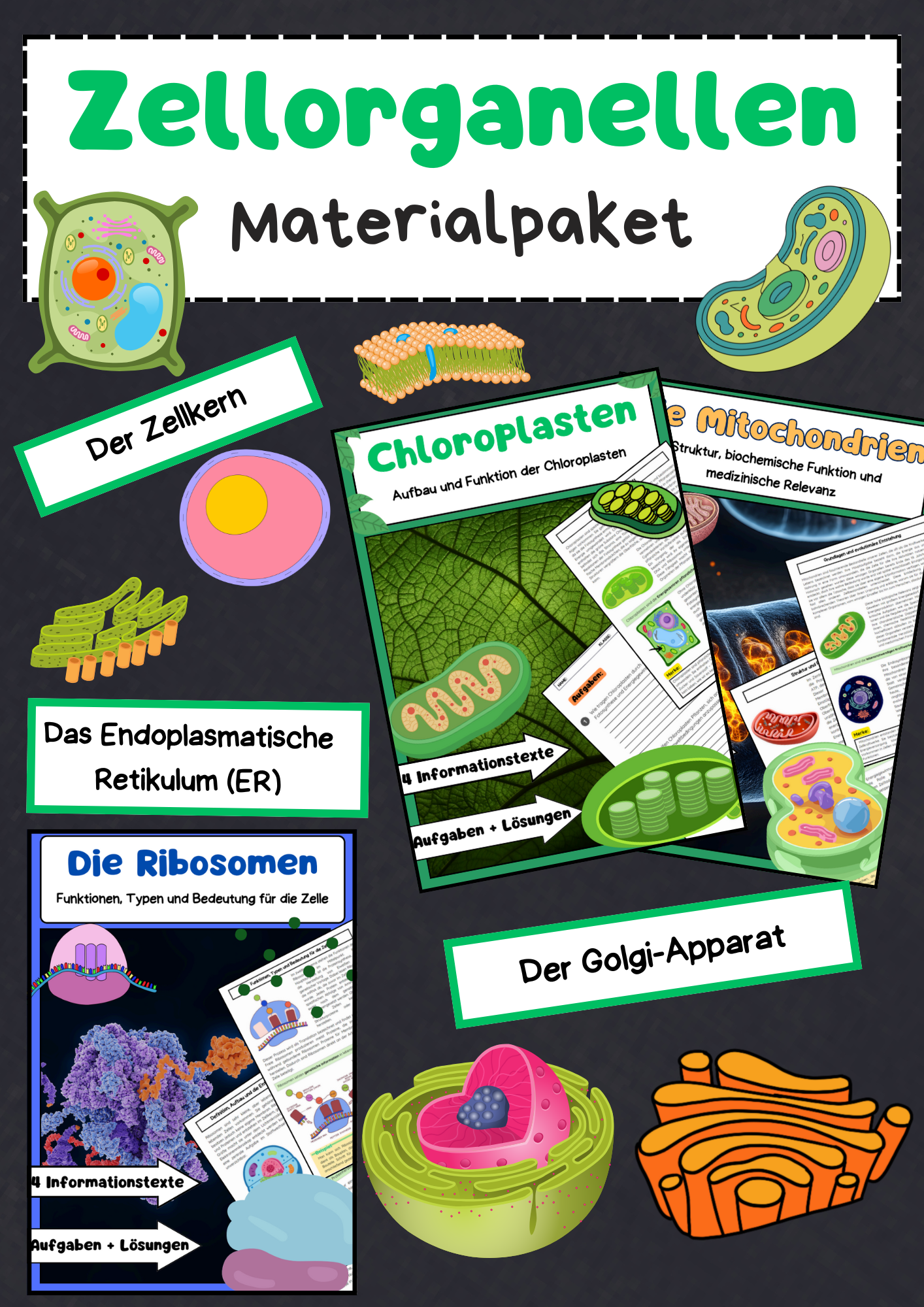 Zellorganellen Materialpaket: Zellstruktur, Chloroplasten ...