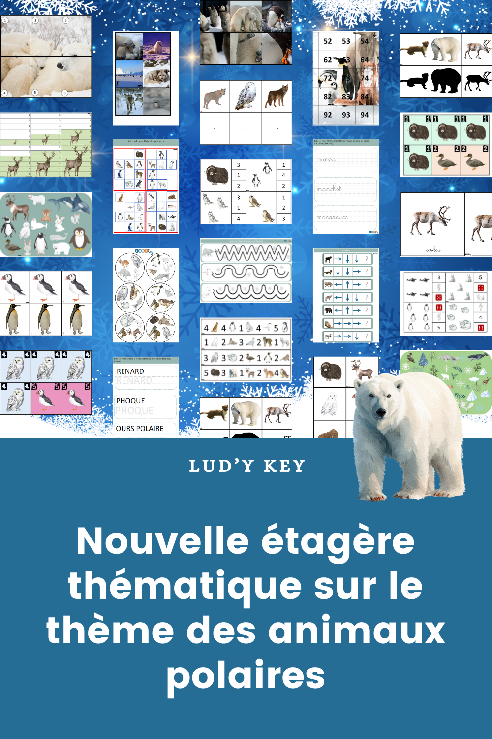 Bundle animaux polaires PDF - Ressource pédagogique pour les matières ...